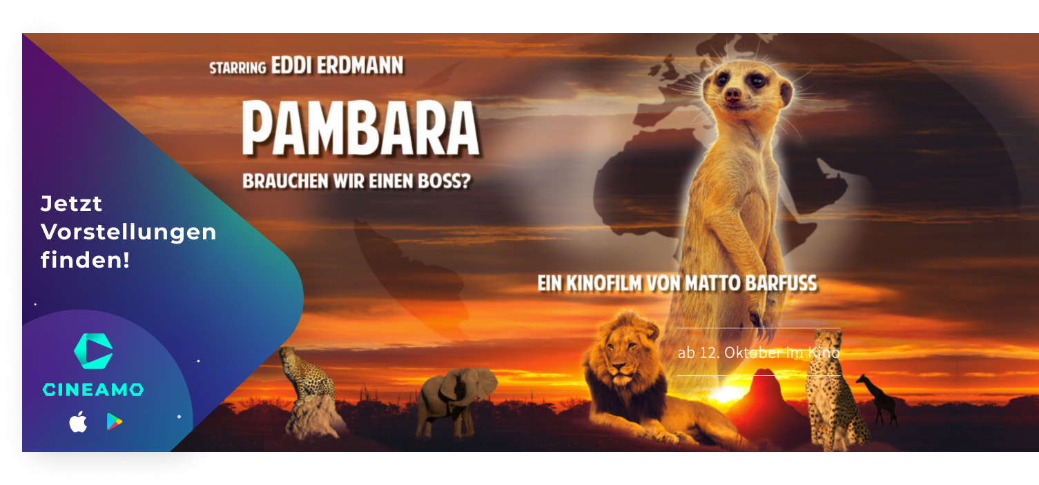 Jetzt im Kino! - Matto Barfuss